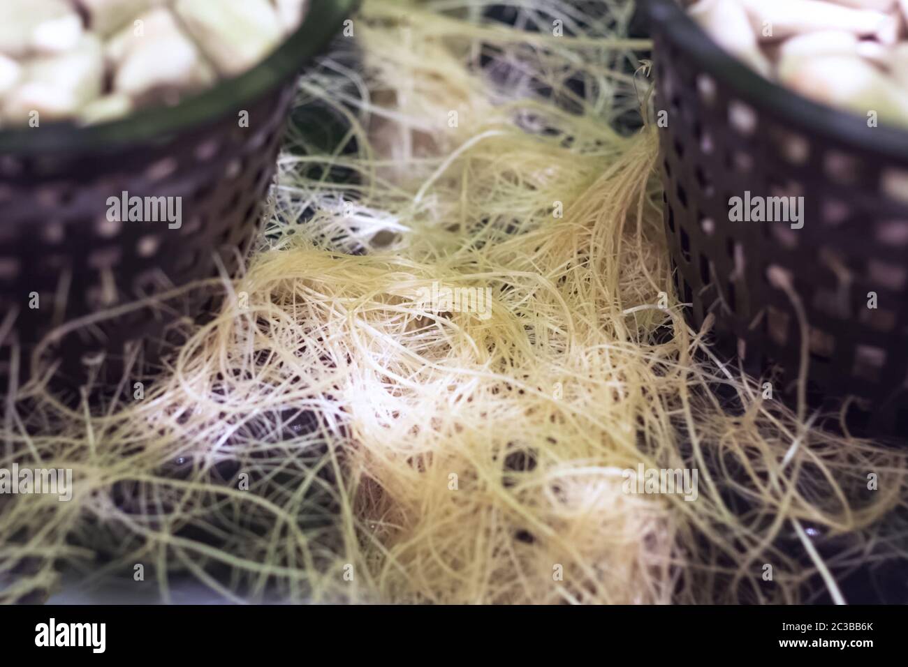 Cannabis roots in hydroponics, Cannabis cultivation in a legal garden ...