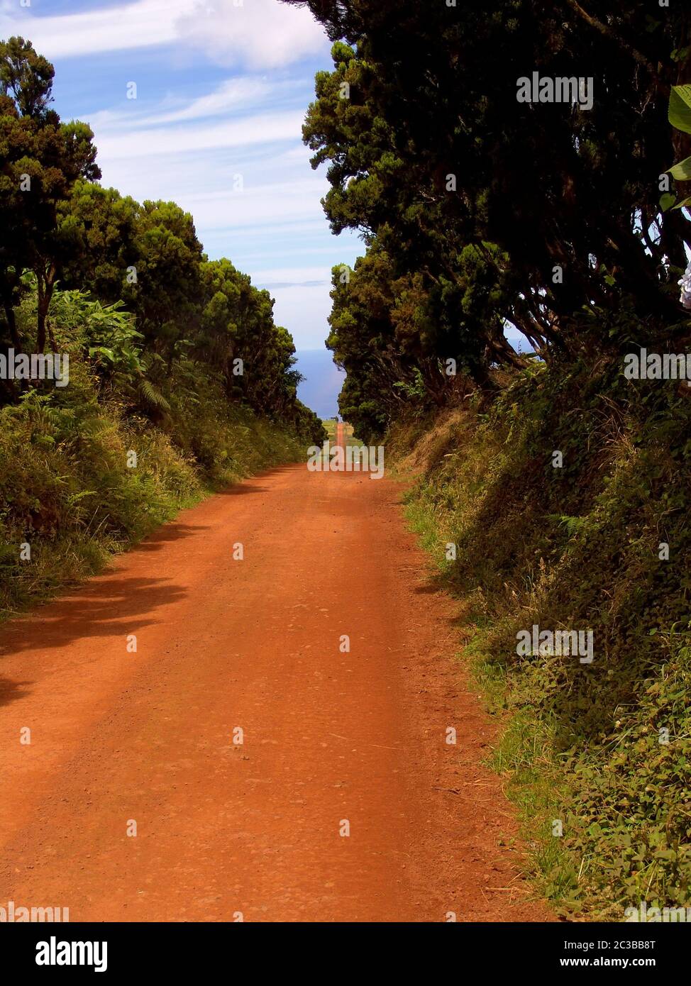 Red desert azores hi-res stock photography and images - Alamy