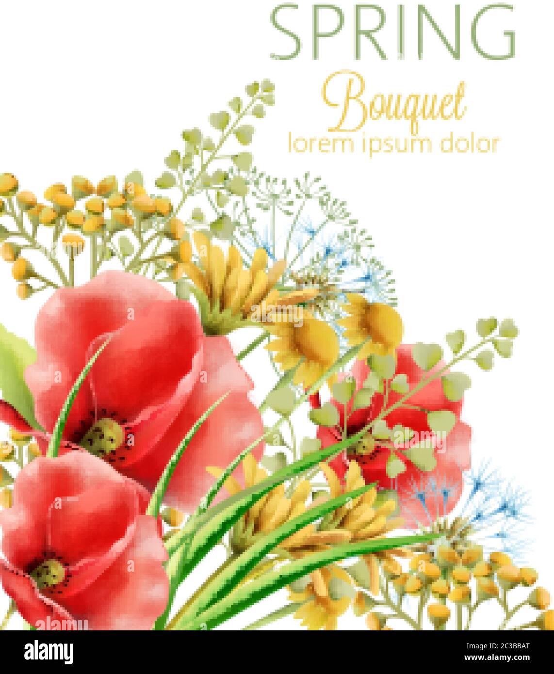 Spring bouquet of watercolor poppy and daisy flowers with green leaves ...