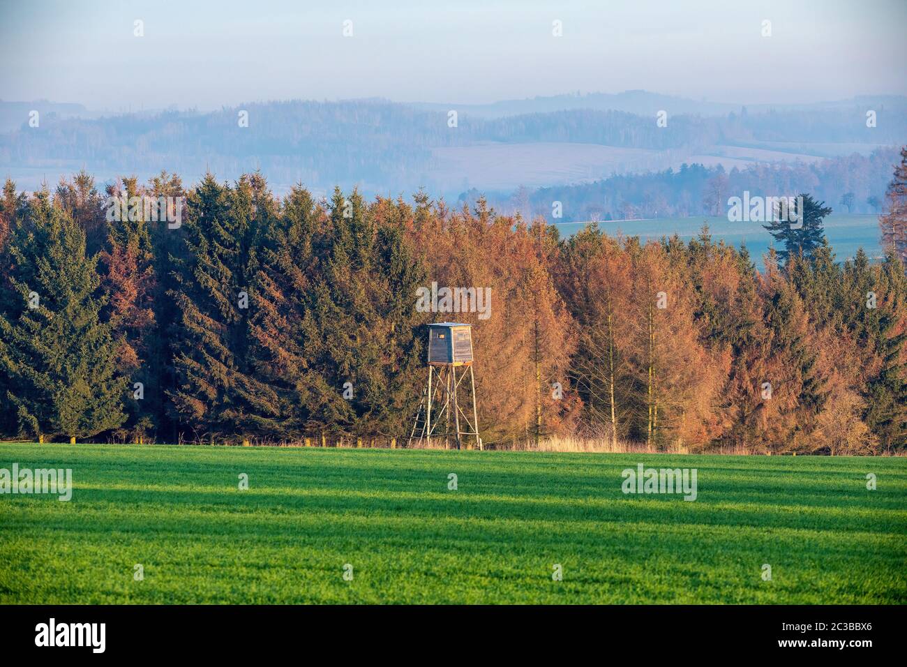 Sky tower hiding hi-res stock photography and images - Alamy