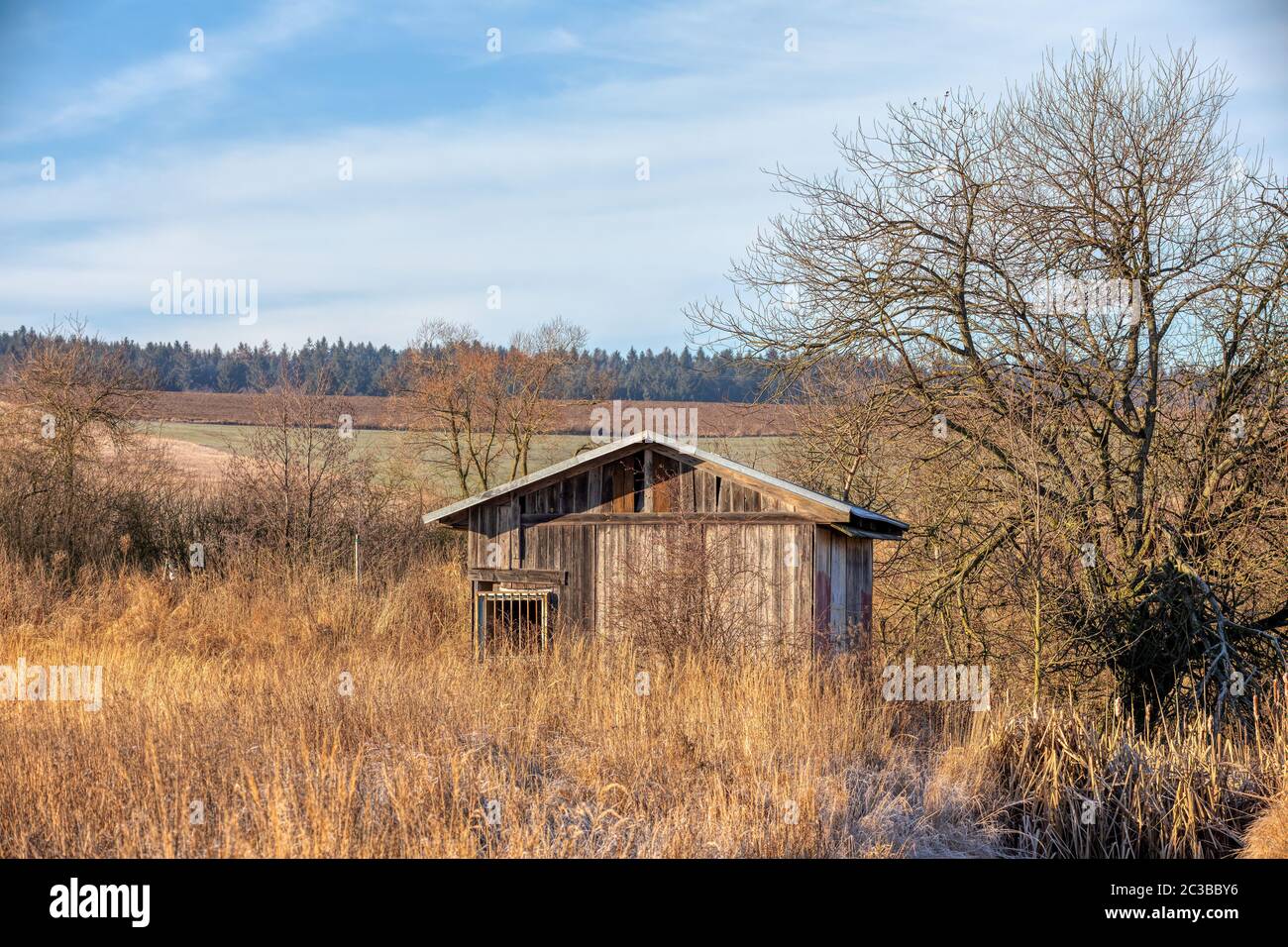 High seat hiding place hut hi-res stock photography and images - Alamy