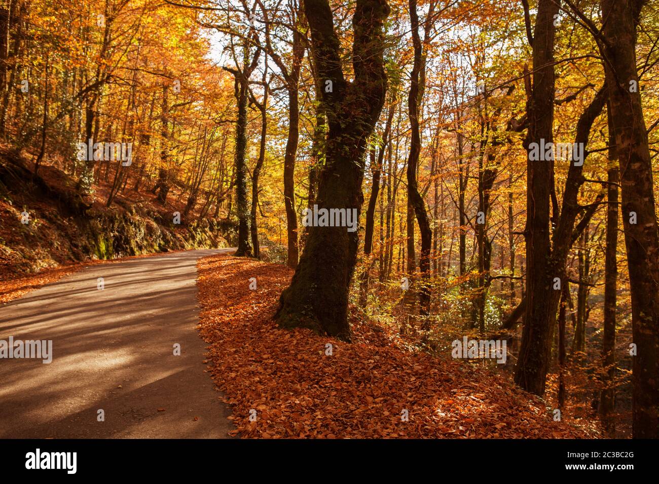 Autumn landscape with road and beautiful colored trees, in Geres ...