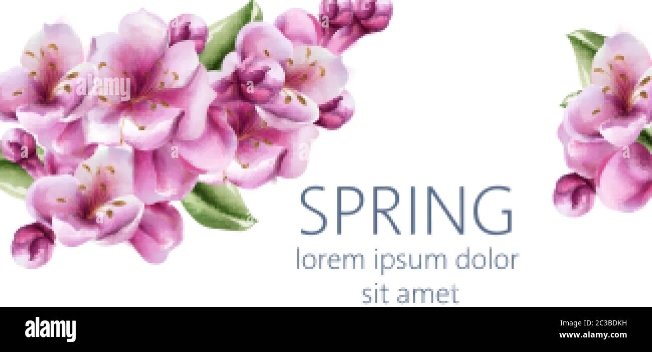 Hello spring cherry blossom flowers greeting card with place for text ...