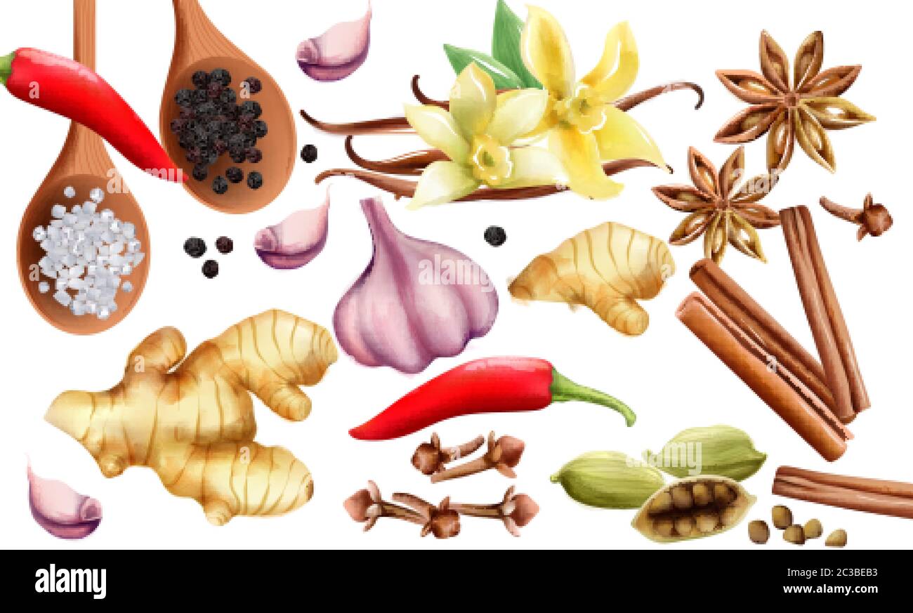 Garlic salt spoon Stock Vector Images - Alamy