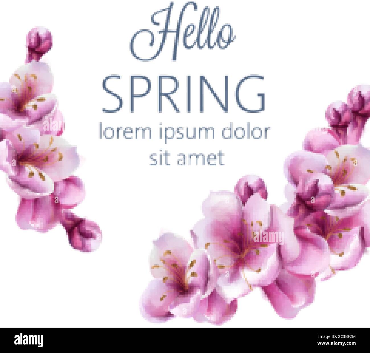Hello spring cherry blossom flowers greeting card with place for text ...