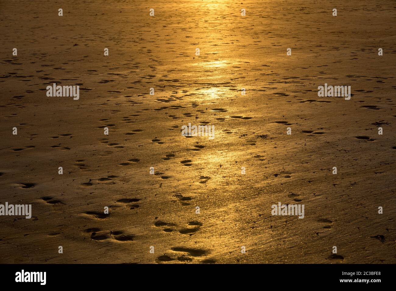 Beach abstract, wet sand reflecting sunlight during sunset Stock Photo ...