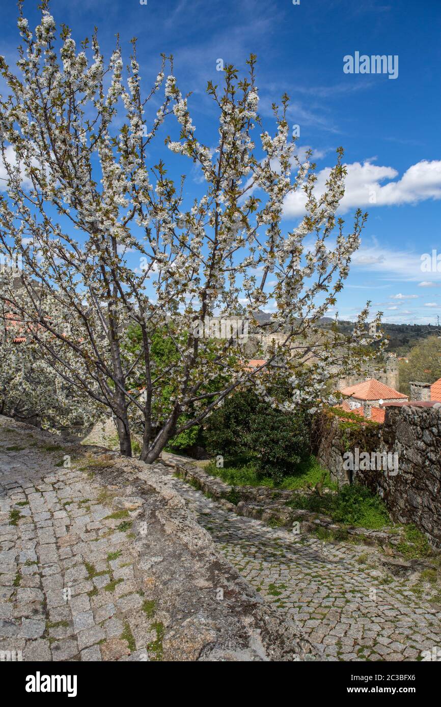 Historical village of Sortelha, Portugal Stock Photo - Alamy