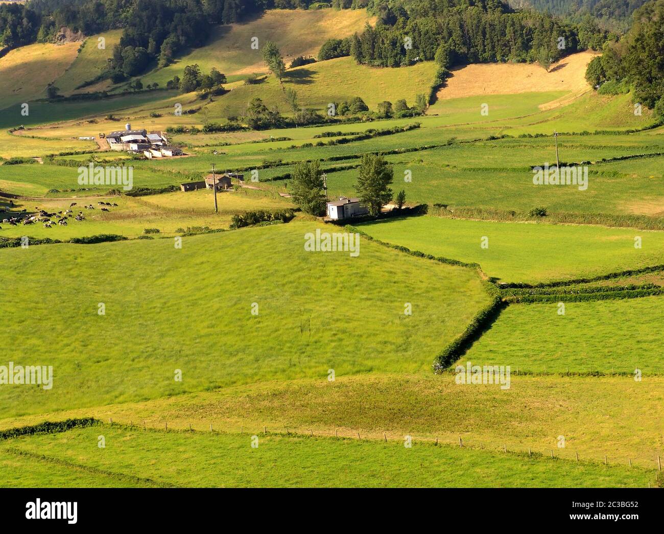 azores green fields at sao miguel island Stock Photo - Alamy