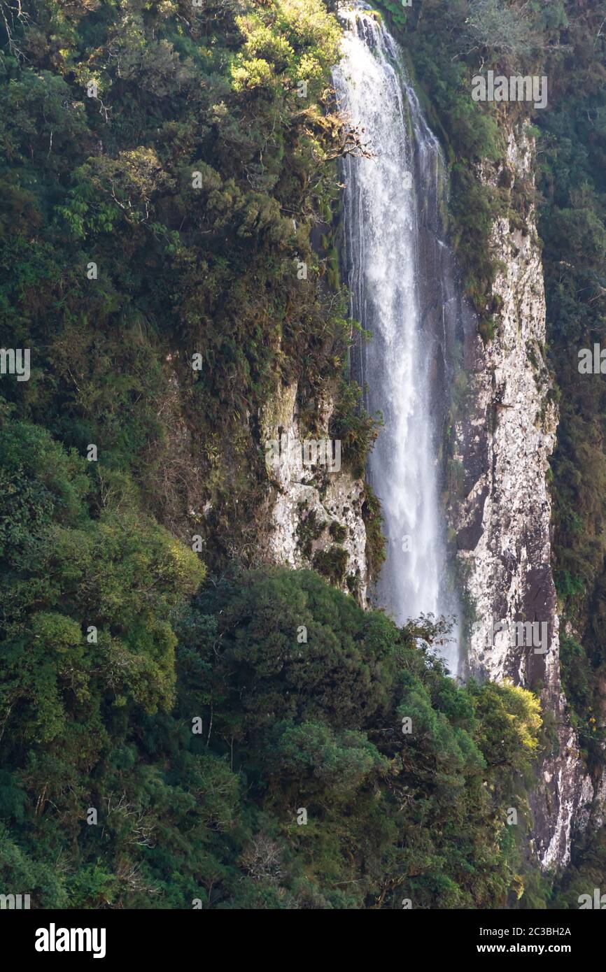 natural parks in the mountains of Brazil Stock Photo - Alamy