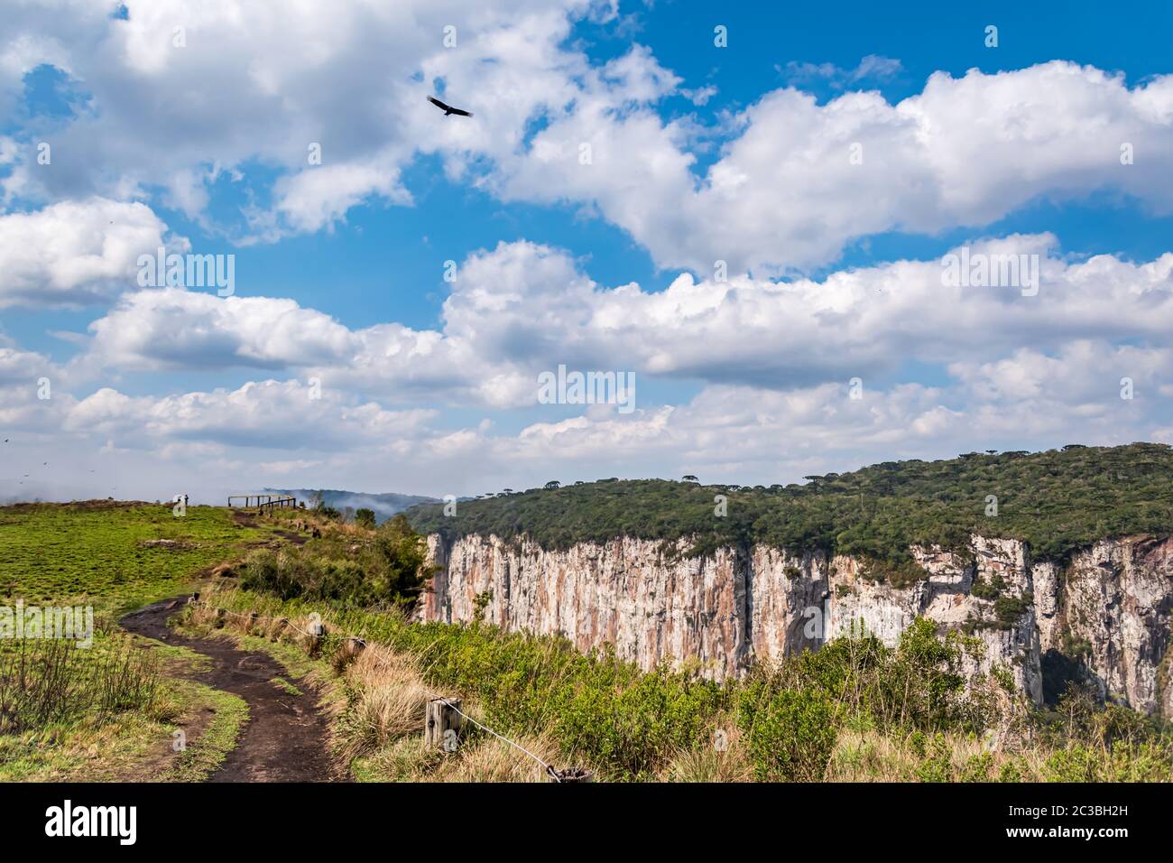 natural parks in the mountains of Brazil Stock Photo - Alamy