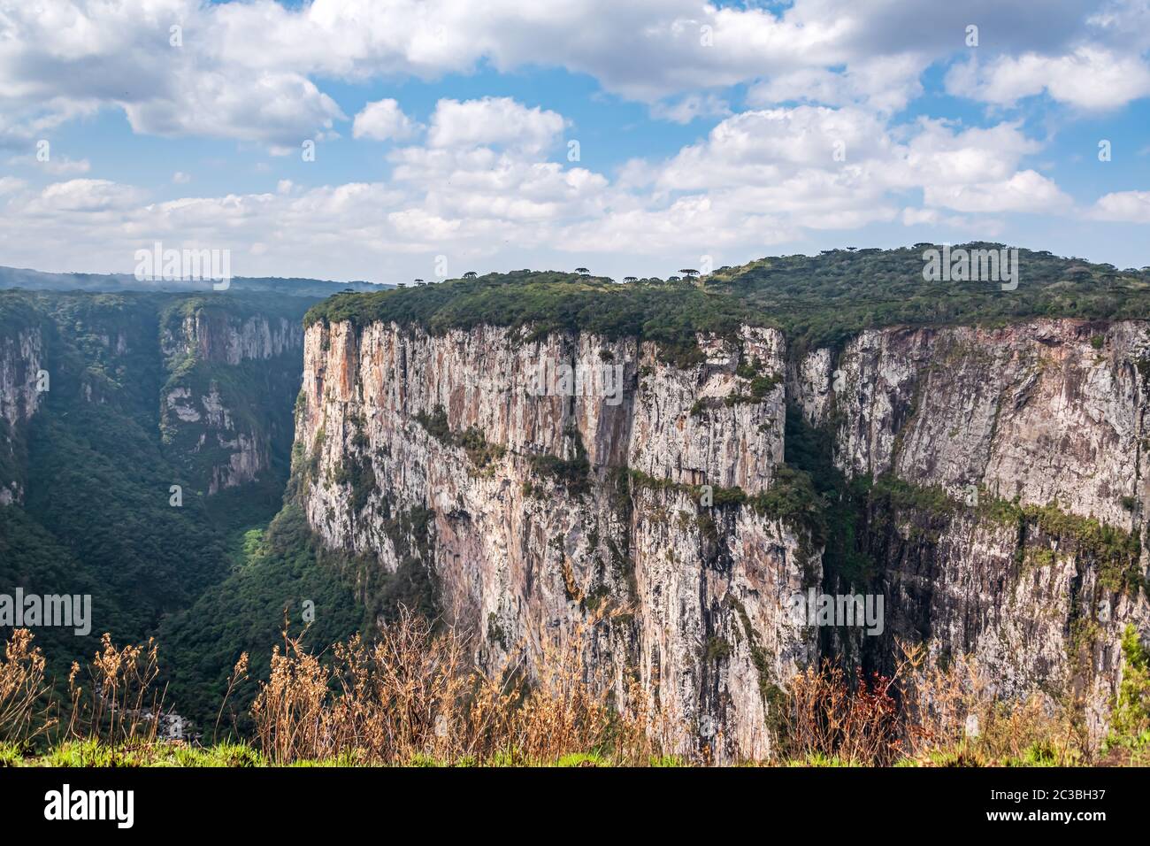 natural parks in the mountains of Brazil Stock Photo - Alamy