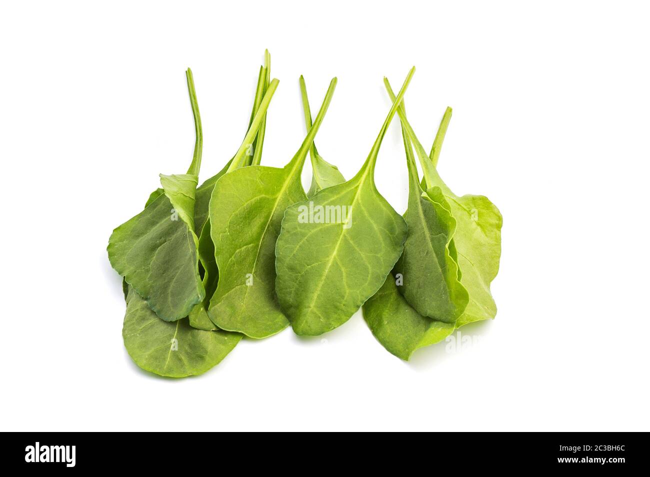 Close up of fresh green spinach isolated on white background Stock ...