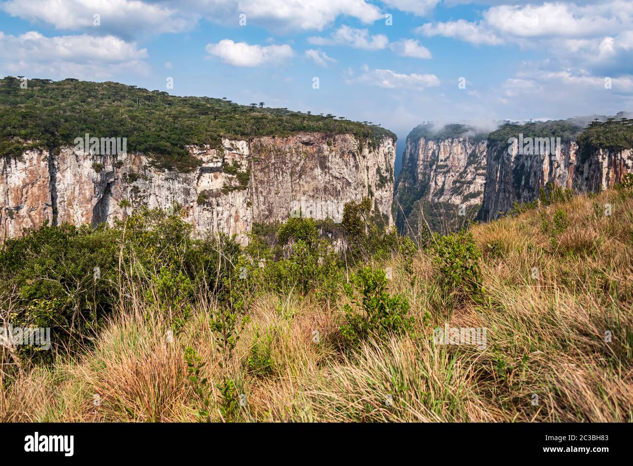 natural parks in the mountains of Brazil Stock Photo - Alamy