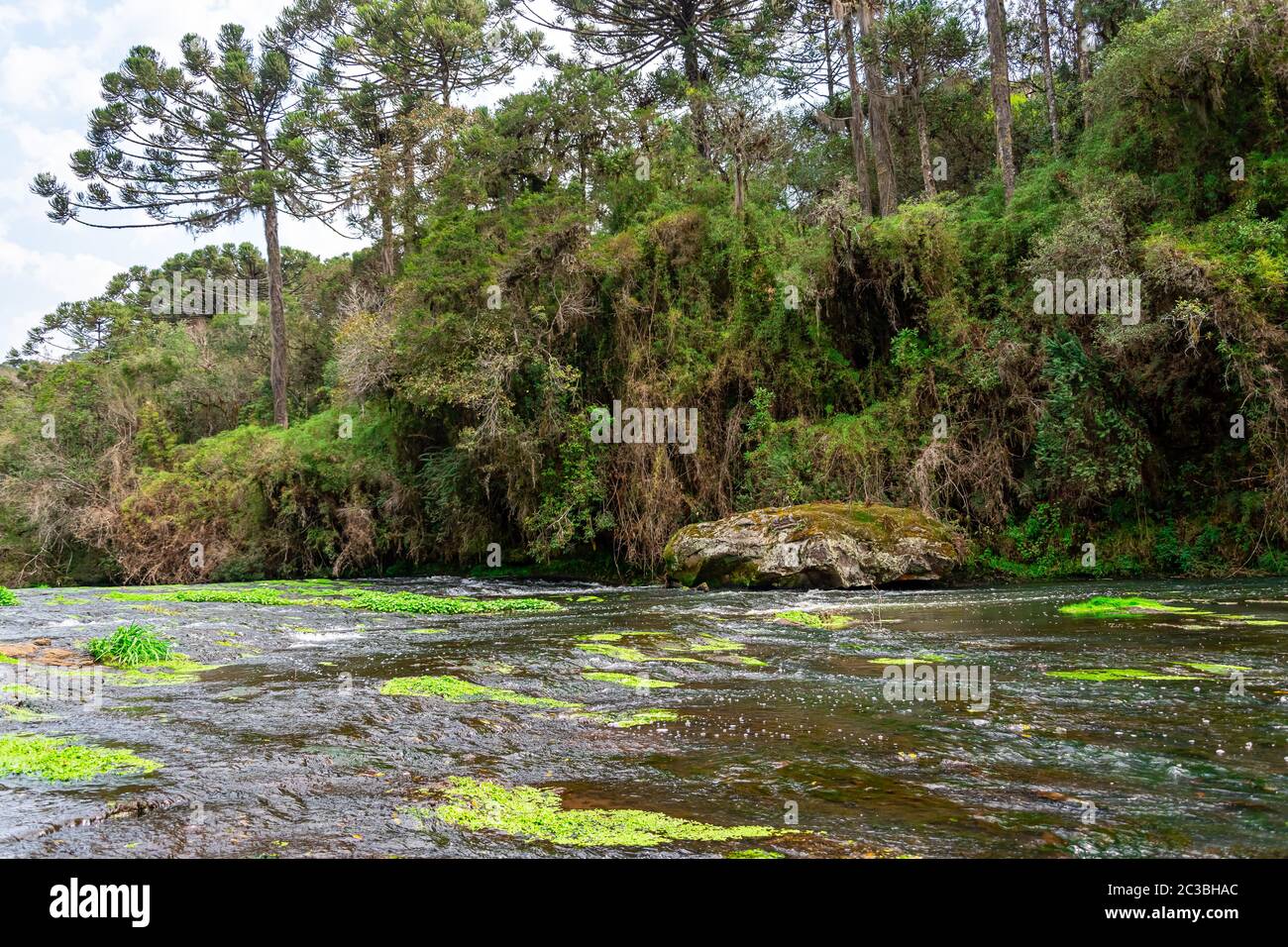 natural parks in the mountains of Brazil Stock Photo - Alamy