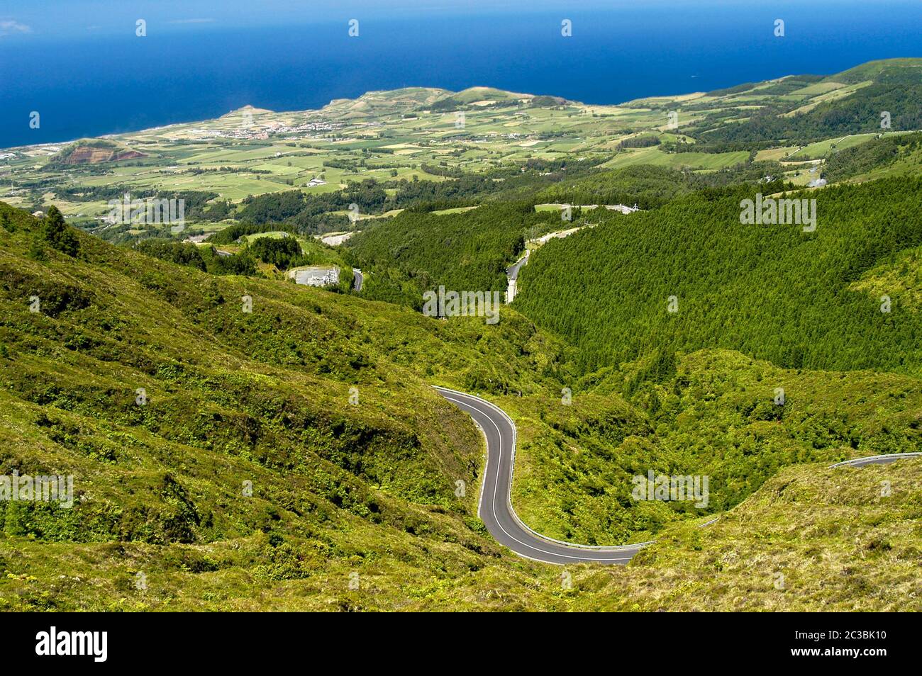 Azores hydrangea farm hi-res stock photography and images - Alamy