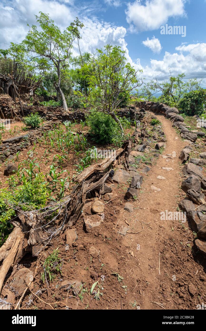 Narrow pathway in Konso, walled village tribes Konso. Africa, Ethiopia ...