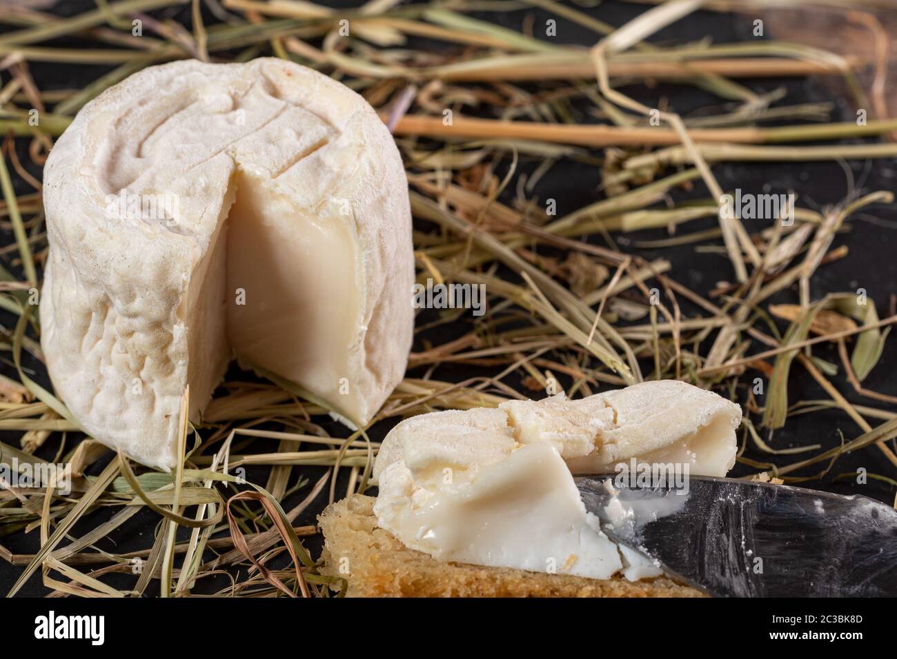 Goat in french pyrenees hi-res stock photography and images - Alamy