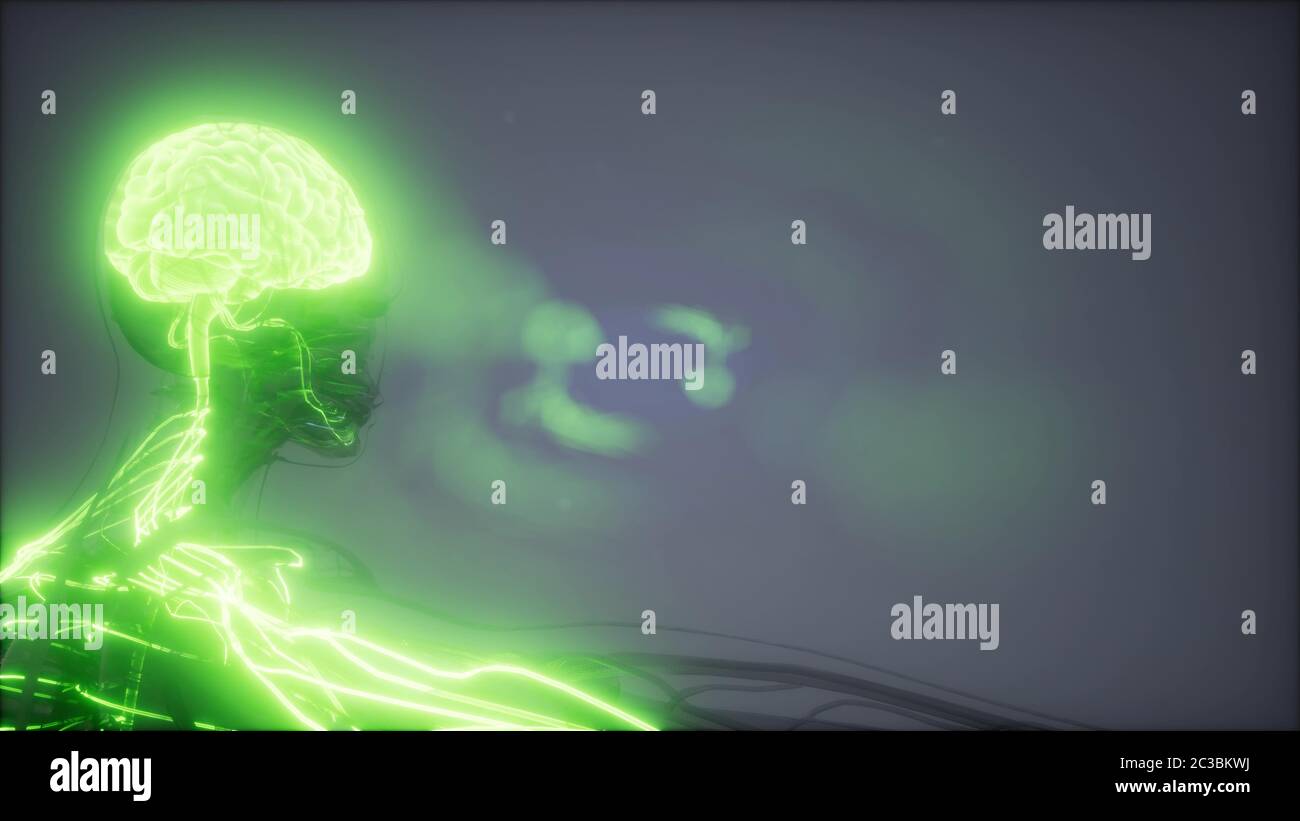 Human Brain Radiology Exam Stock Photo - Alamy