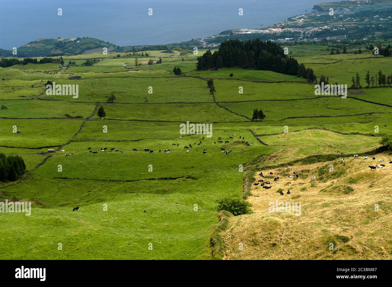 azores farms and fields Stock Photo - Alamy