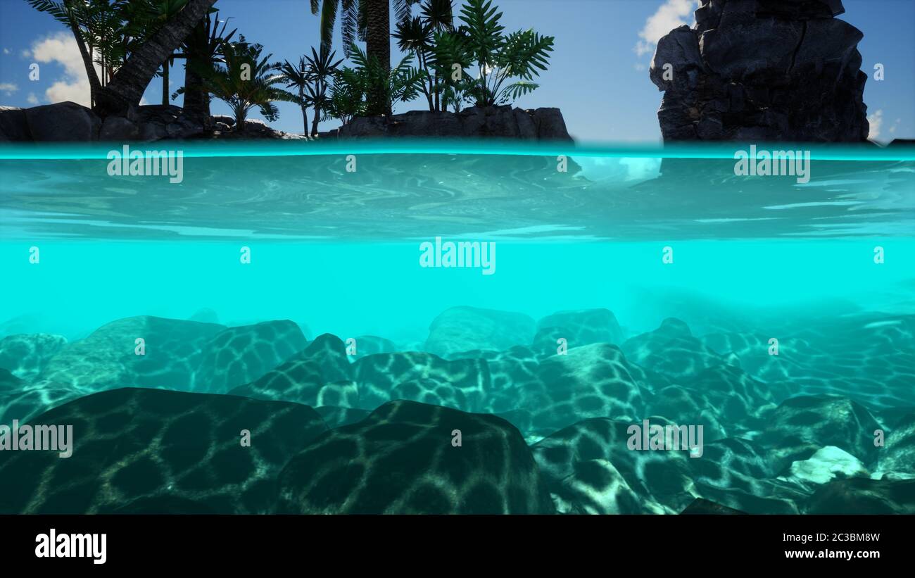 Split view cross section of sea water and palm trees on Island Stock ...
