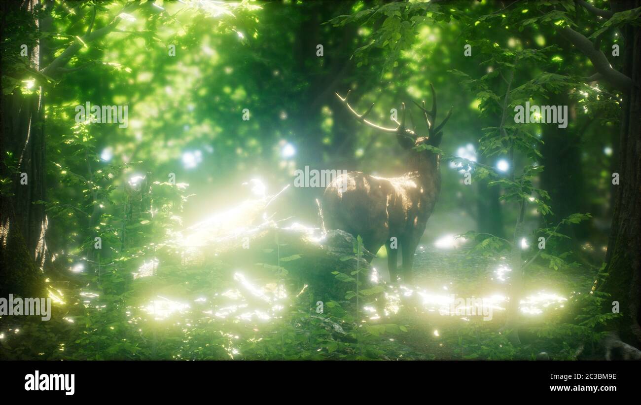Great Red Deer in a Green Forest Stock Photo - Alamy