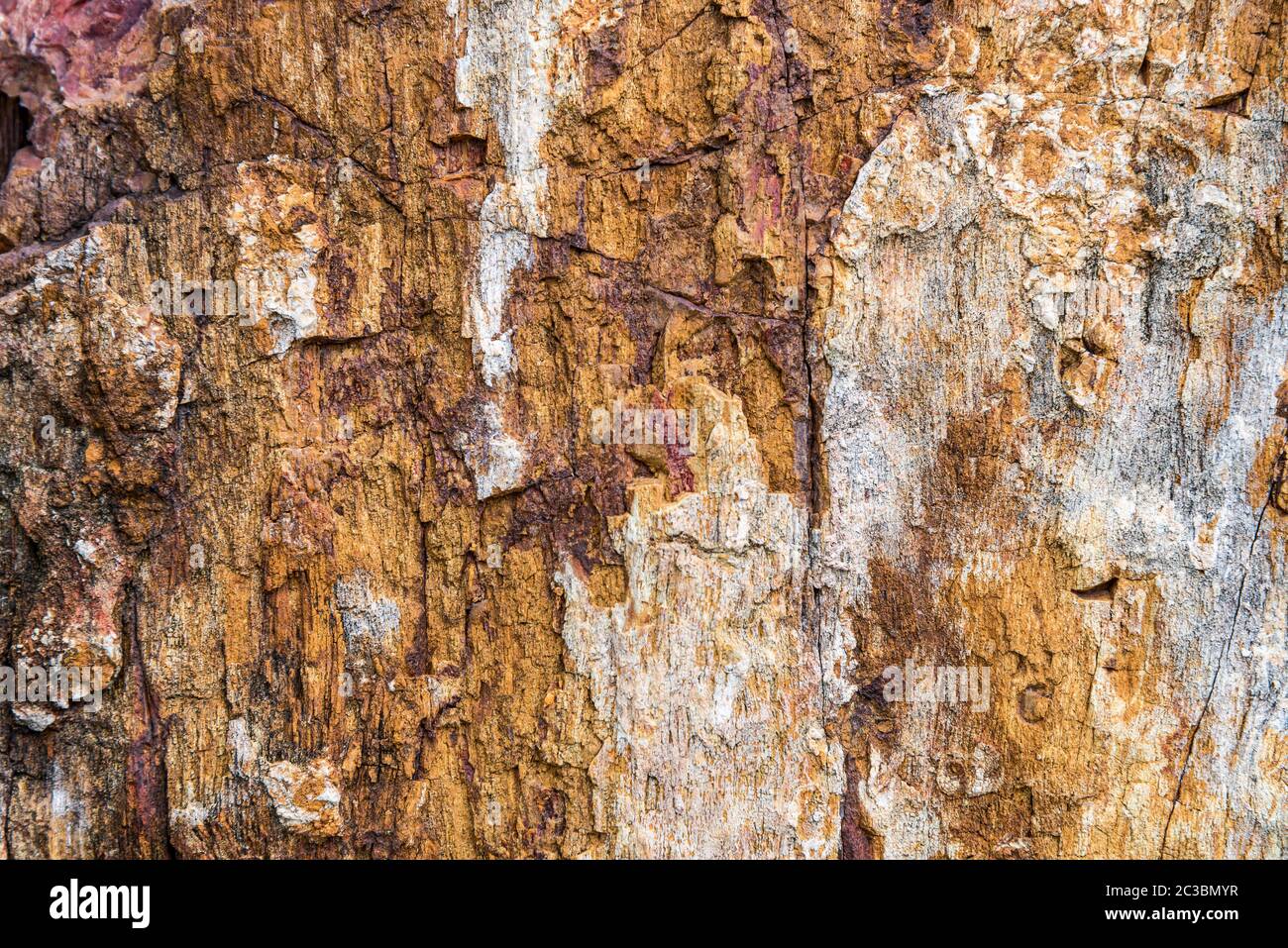 Rough and cracked texture pattern of the old black white and brown or ...