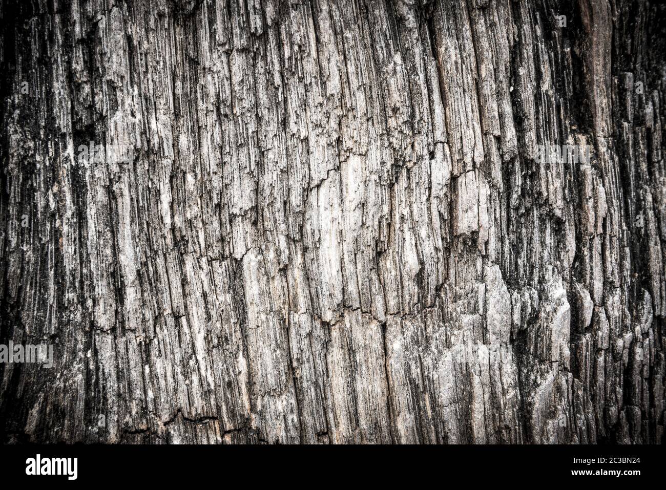 Strong structure hi-res stock photography and images - Alamy