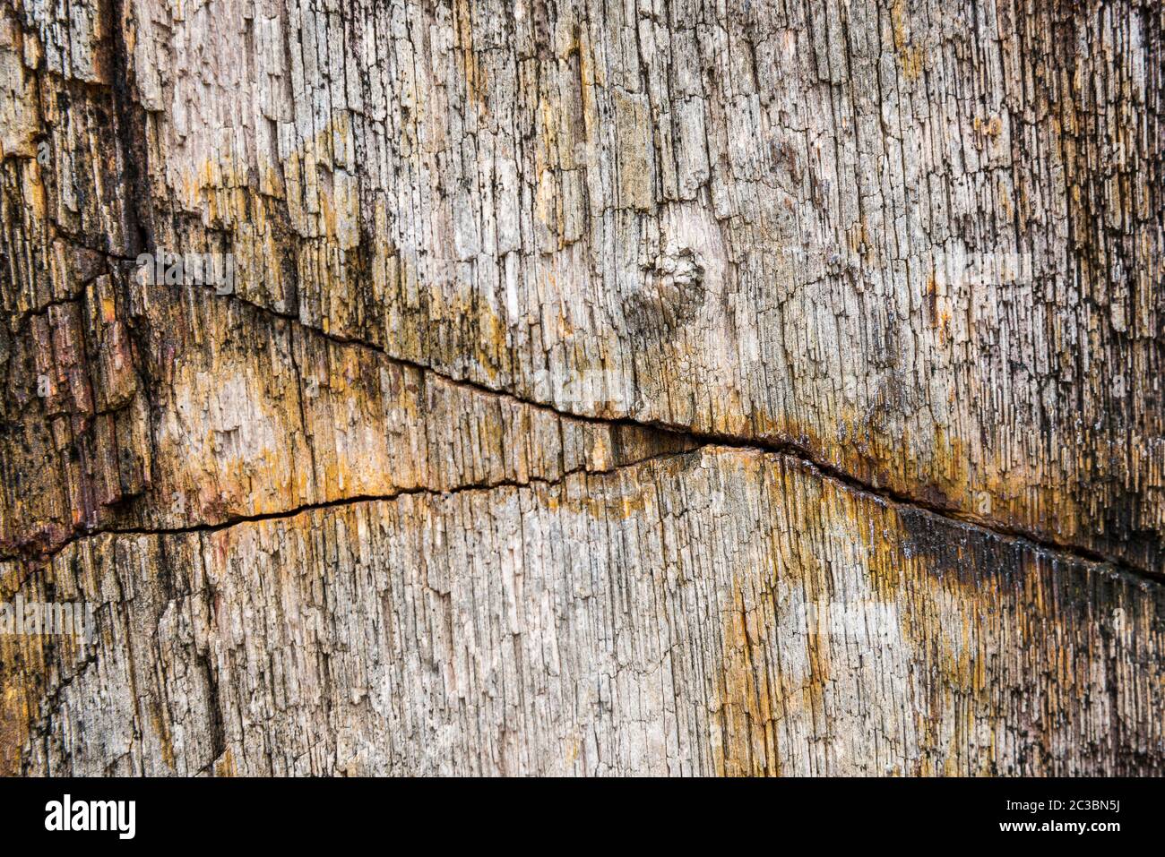 Rough and cracked texture pattern of the old black white and brown or ...