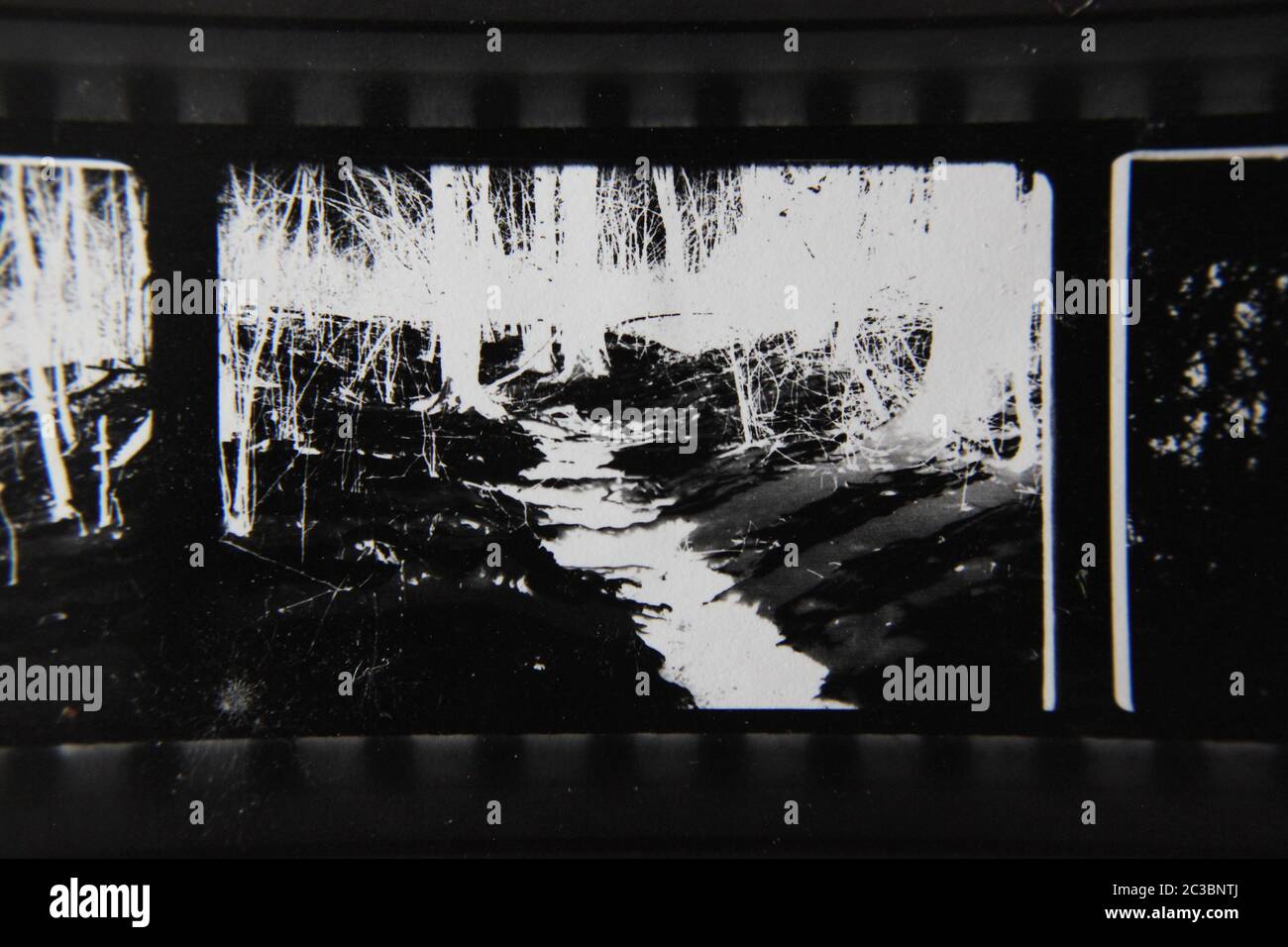 Fine 70s vintage contact print black and white extreme photography of a ...
