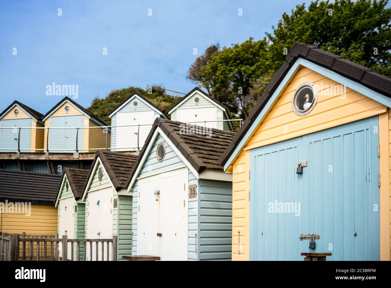 Beach huts and pine trees on the beach in Bournemouth Dorset Stock ...
