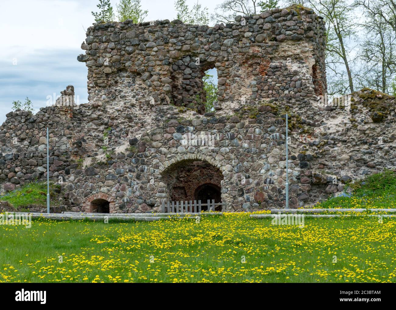 landscape with old stone castle ruins, colorful spring flowers in the ...