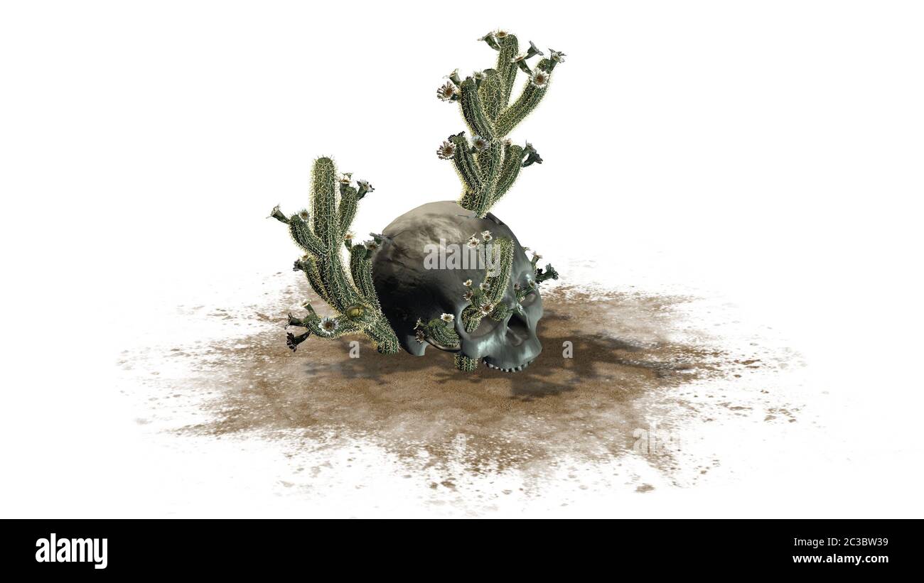 cactus in skull Stock Photo - Alamy