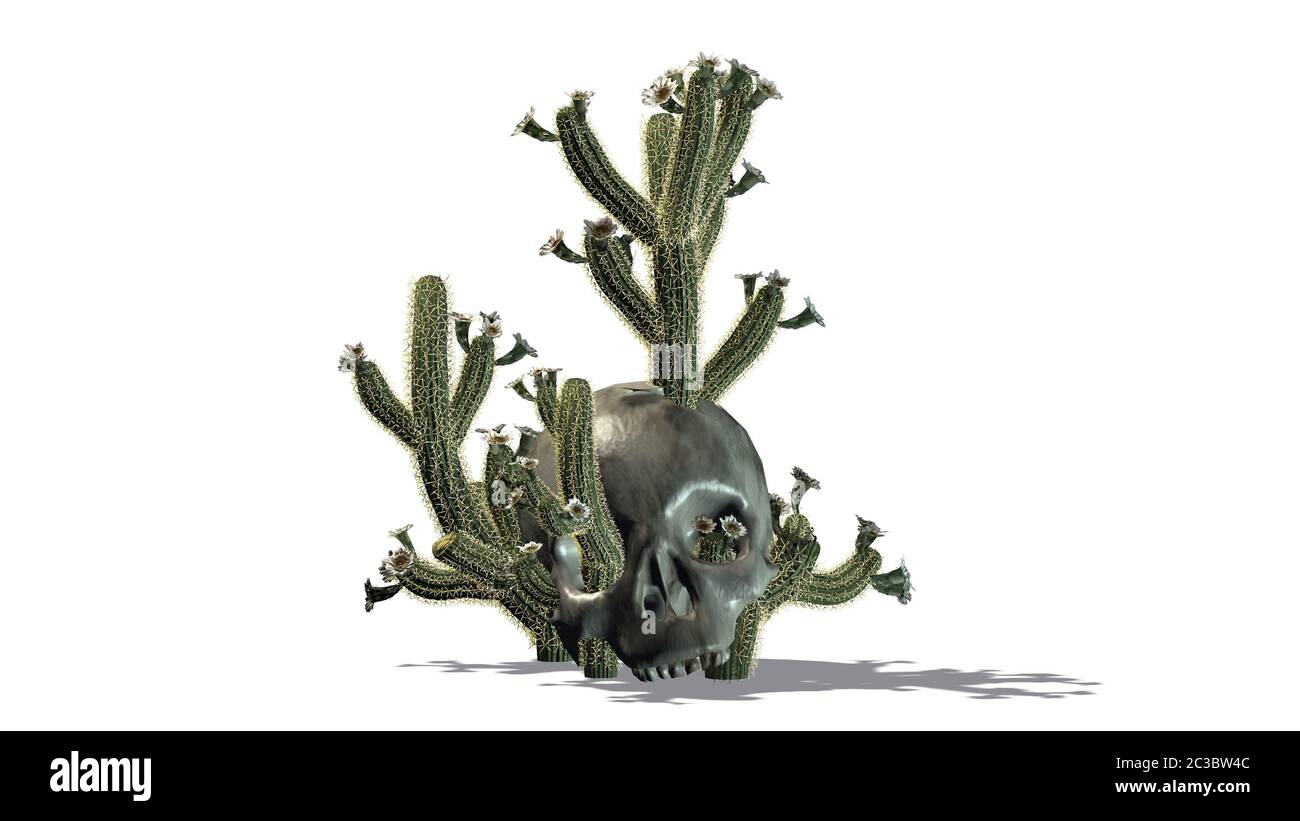 Human skull landscape hi-res stock photography and images - Alamy