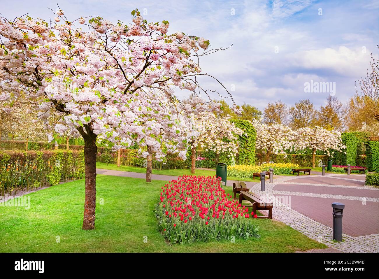 Spring in the park Stock Photo - Alamy