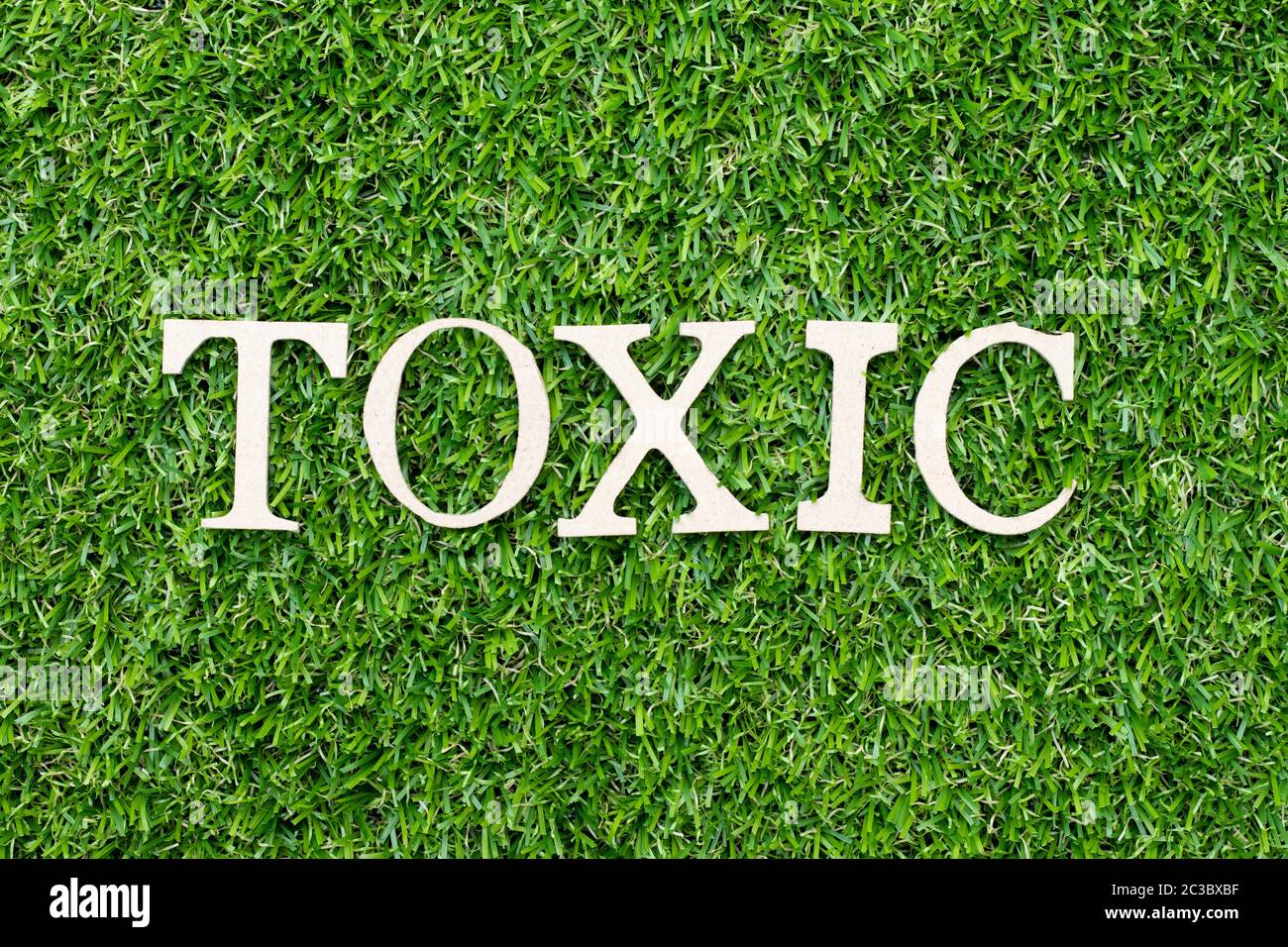 Wood alphabet letter in word toxic on green grass background Stock ...