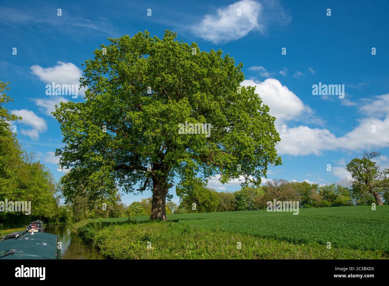 Scenic canal view of the Llangollen Canal near Ellesmere, Wales,UK ...