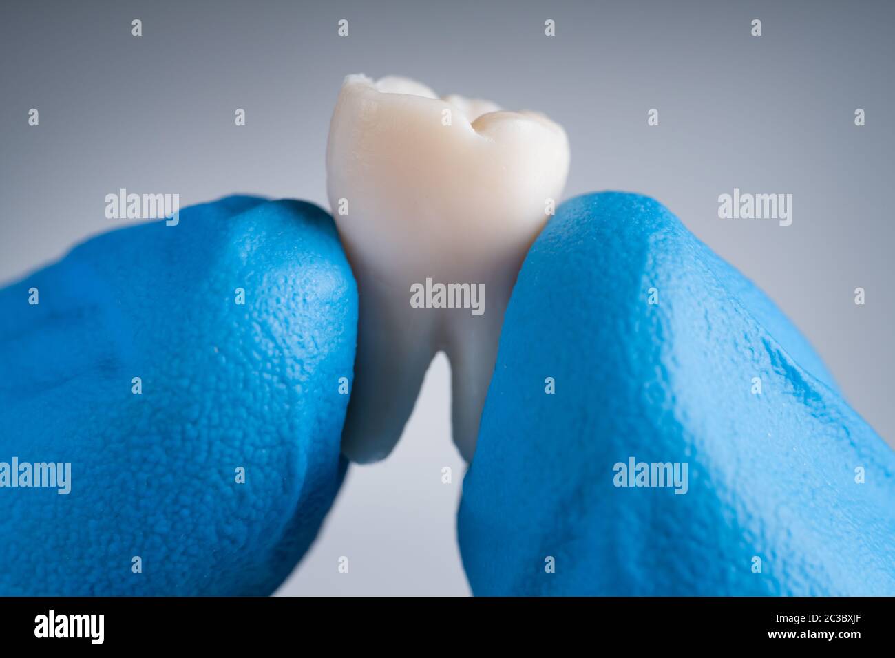 Hand holding molar hi-res stock photography and images - Alamy