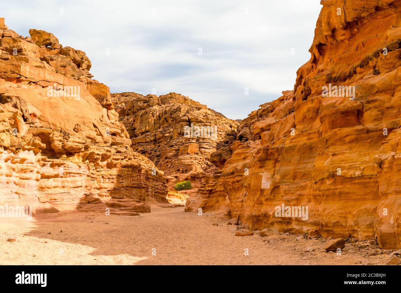 colored canyon with green plants in Egypt Dahab South Sinai Stock Photo ...