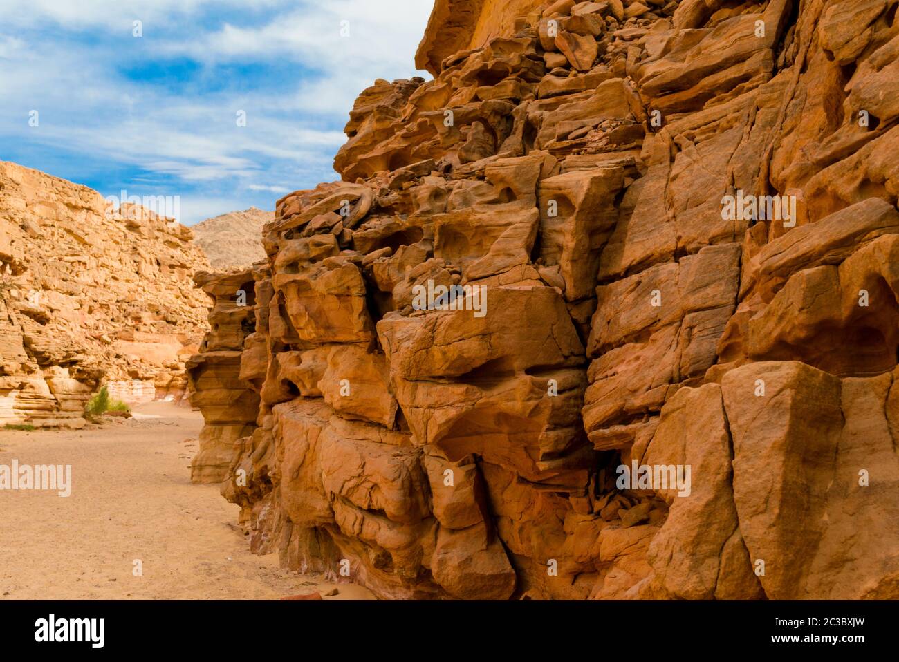 colored canyon with green plants in Egypt Dahab South Sinai Stock Photo ...