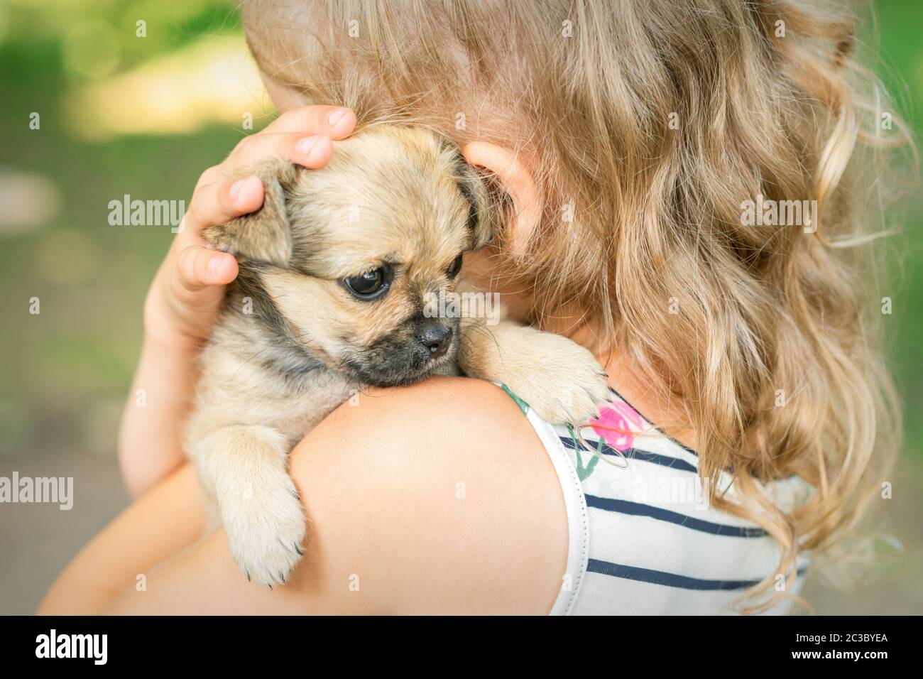 Woman holding puppy on shoulder hi-res stock photography and images - Alamy