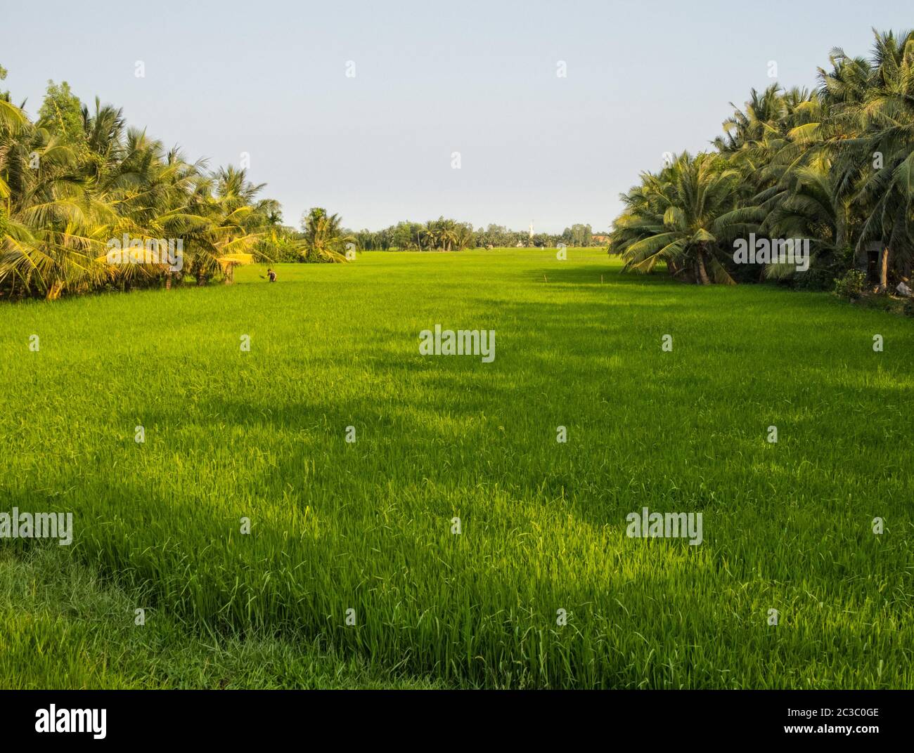 Tra vinh hi-res stock photography and images - Alamy