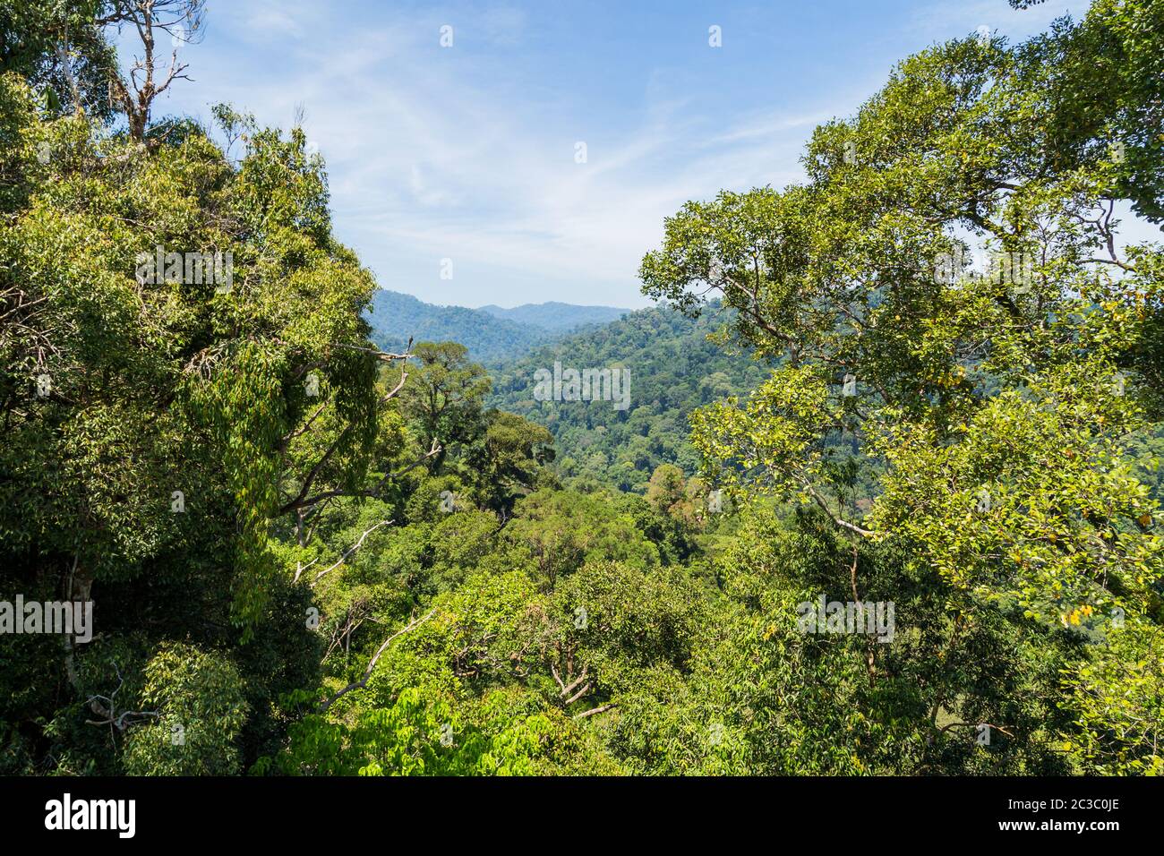 View of Ulu Temburong National Park or fathul park, in Temburong ...