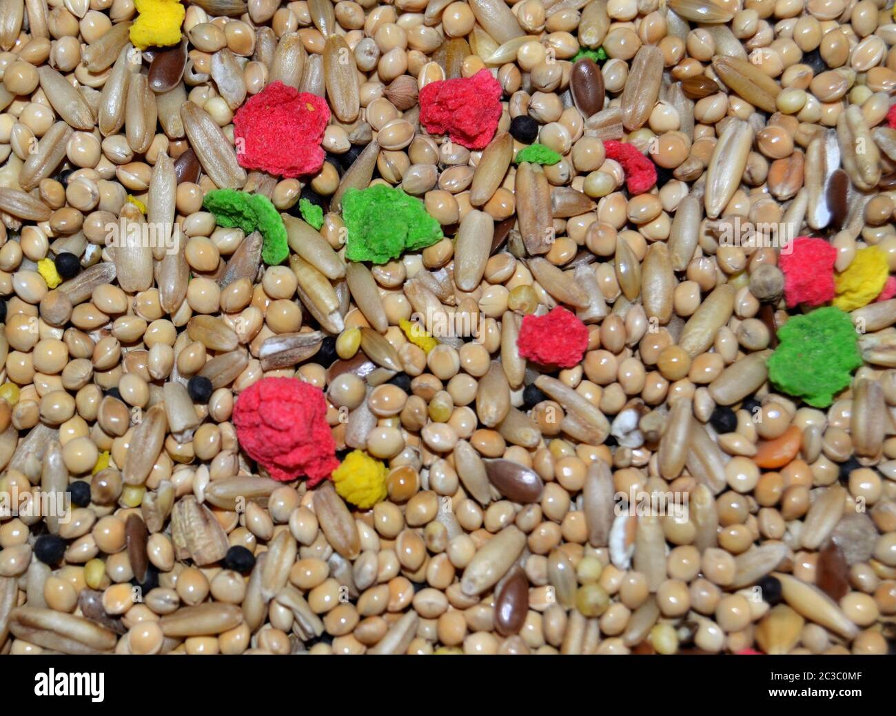 The bird food Stock Photo - Alamy