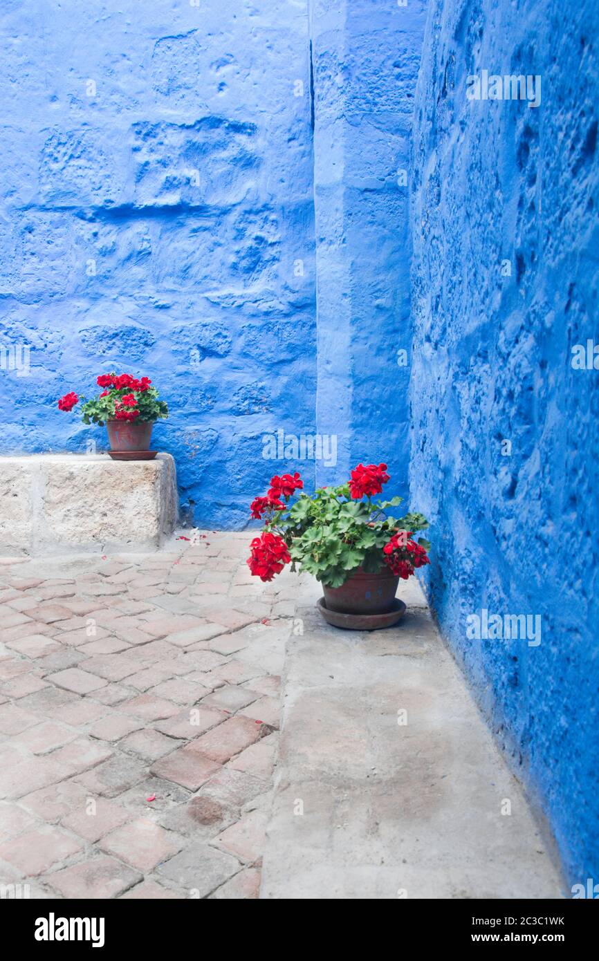 Picturesque and colorful corner with flower pots and beautiful blue ...