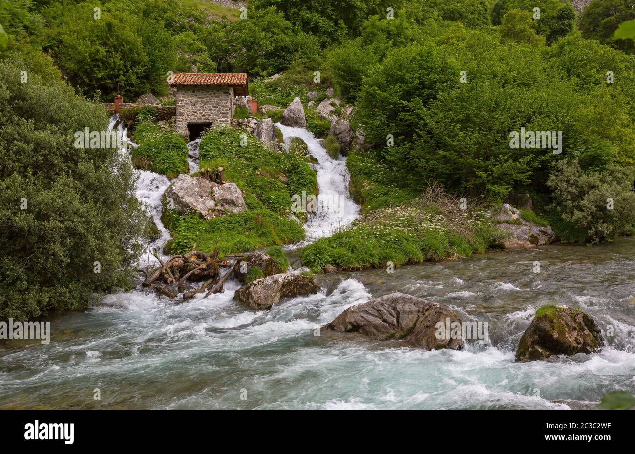 Waterfall in the Cares River located in the Picos de Europa National ...