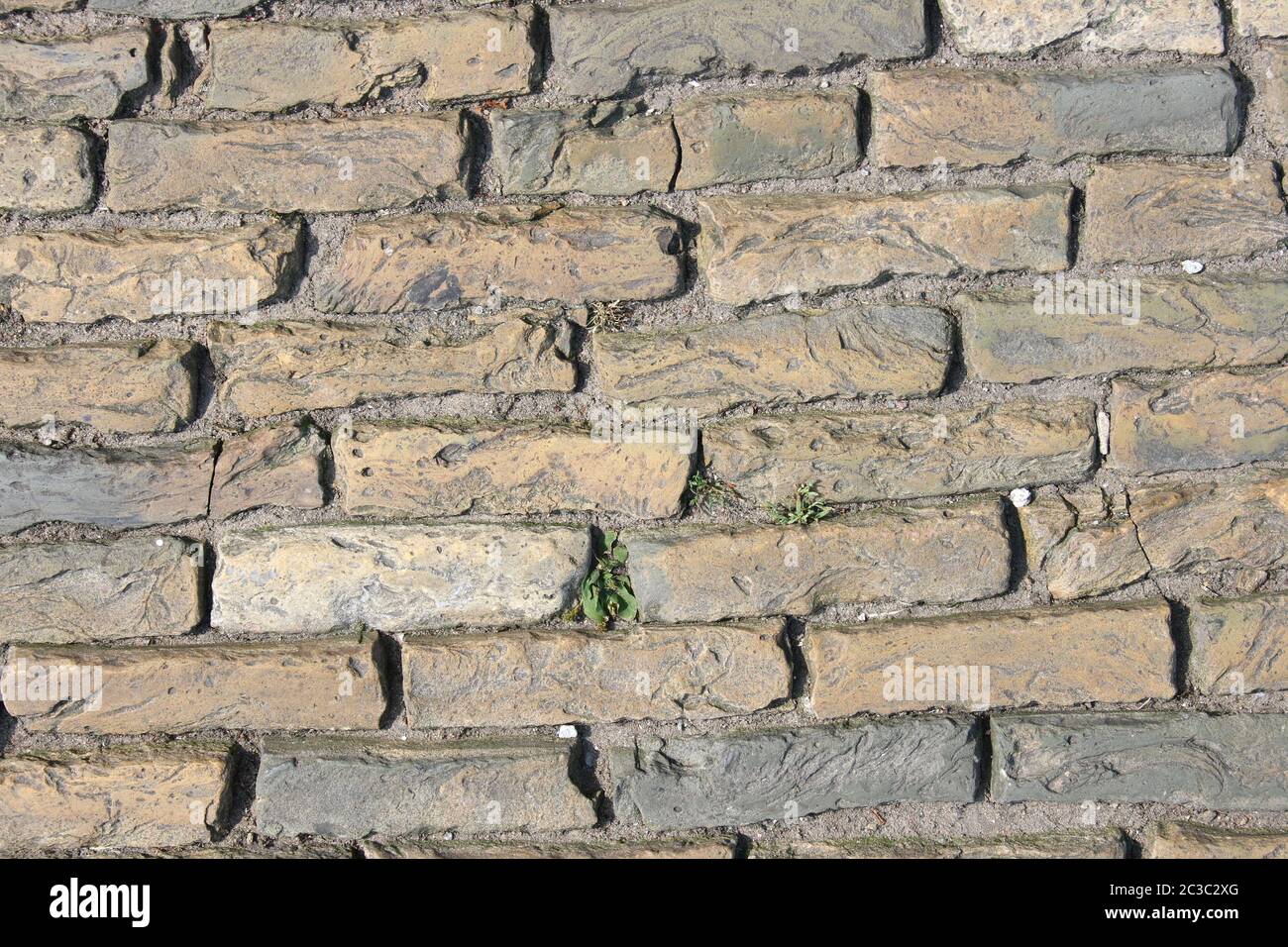 With rectangular colored stones laid pavement Stock Photo - Alamy