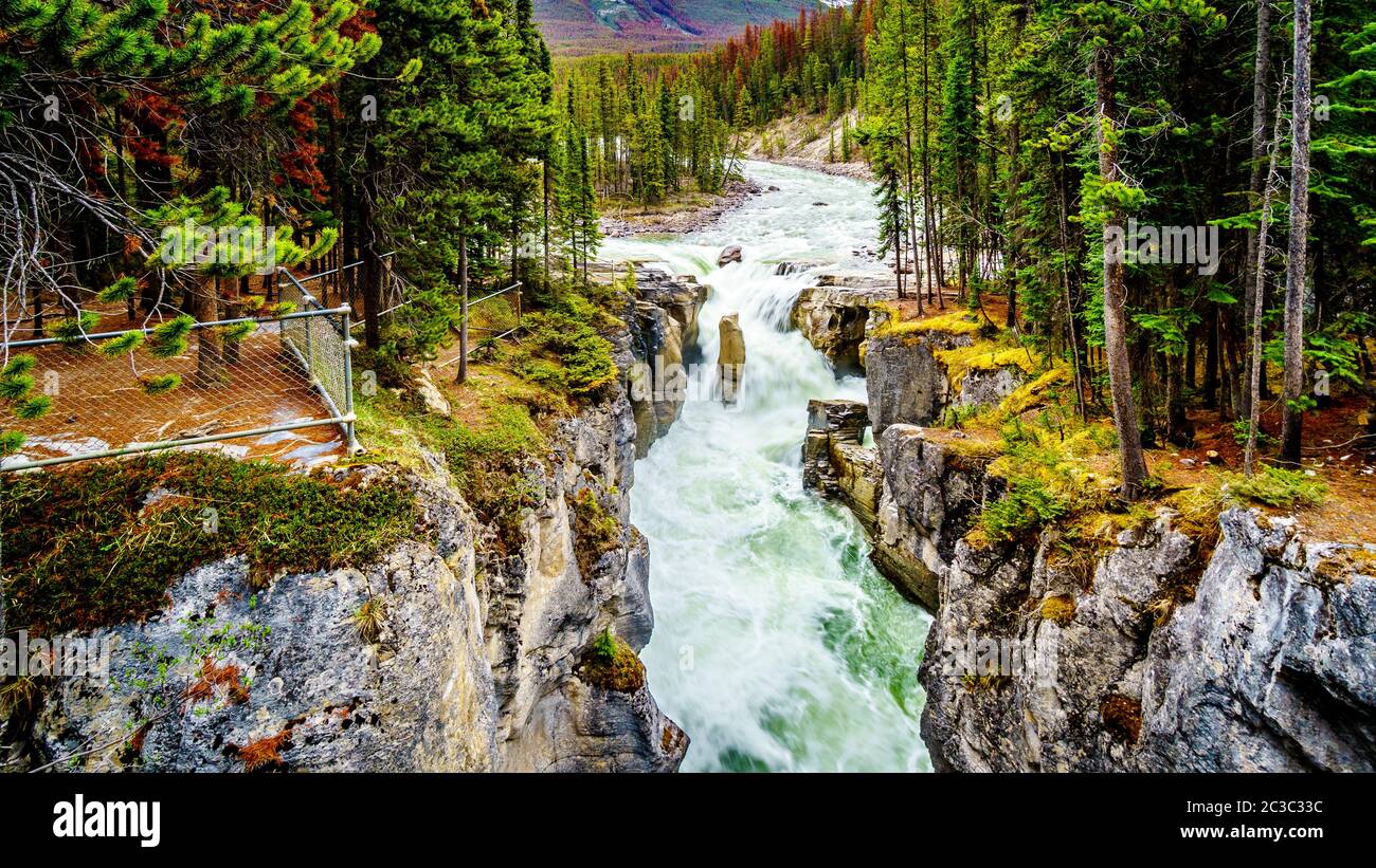 Water of the Sunwapta River tumbling over the edge of Sunwapta Falls ...