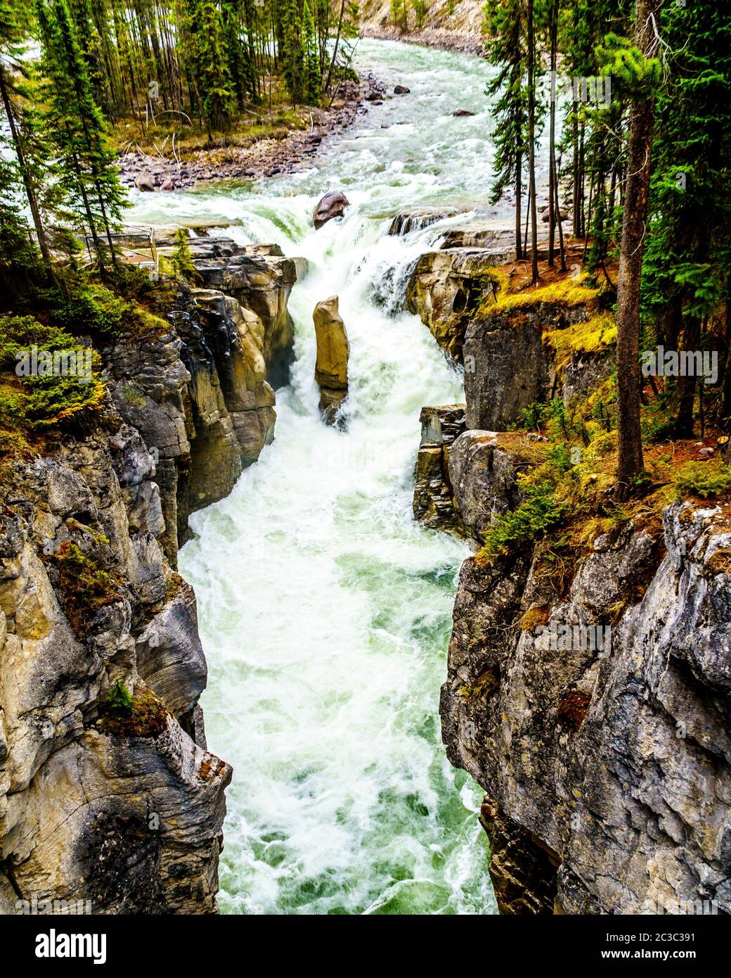 Water of the Sunwapta River tumbling over the edge of Sunwapta Falls ...