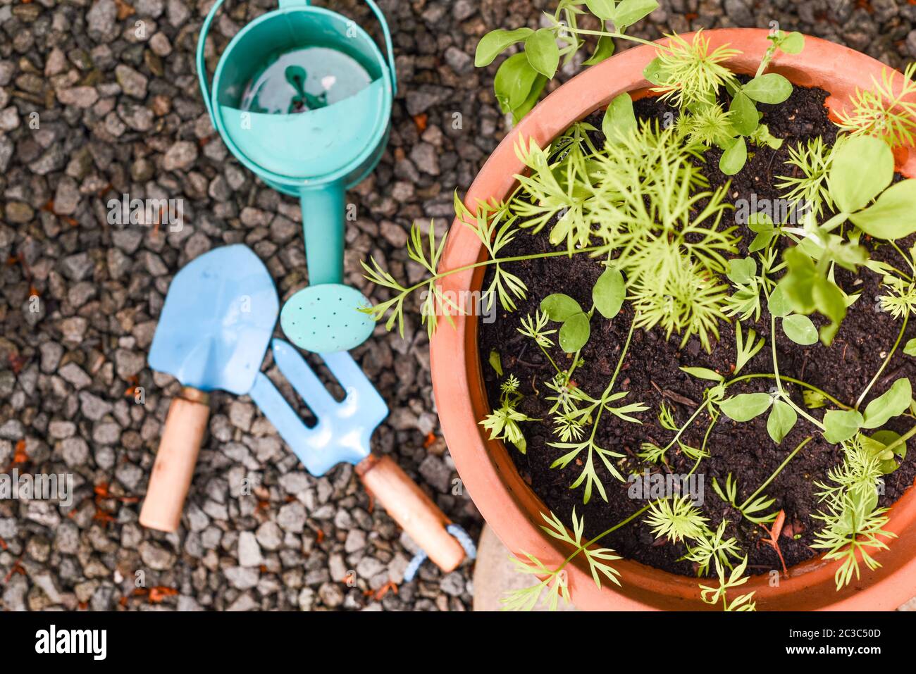 Gardening tools for kids to learn about planting and gardening Stock ...