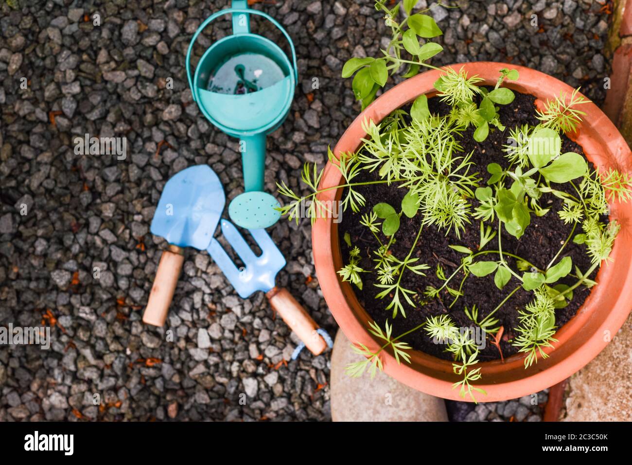 Gardening tools for kids to learn about planting and gardening Stock ...